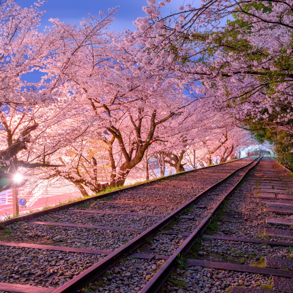 Keage Incline | KYOTO TO DO