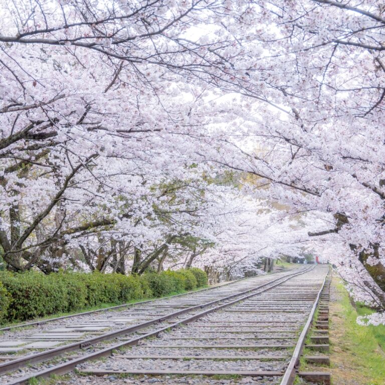 Keage Incline | KYOTO TO DO