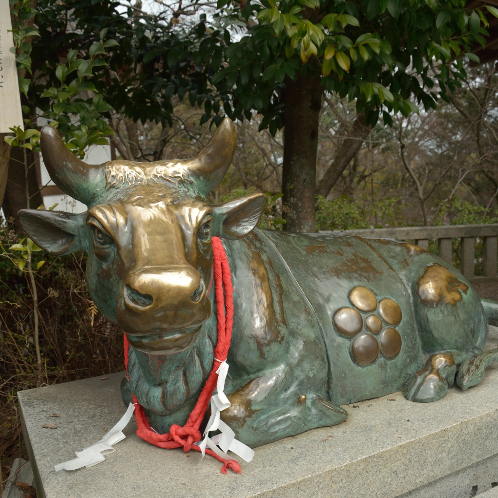 Kitano Tenmangu Shrine | KYOTO TO DO