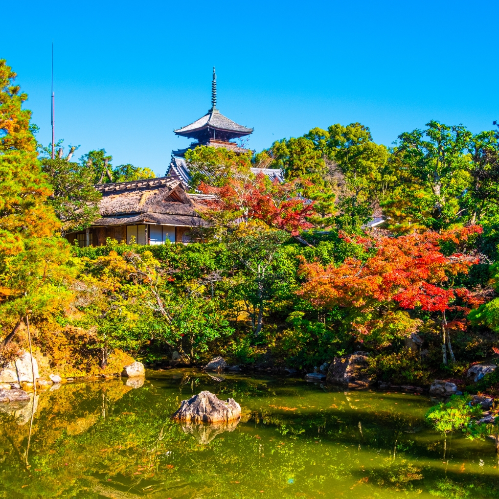 Ninnaji Temple | KYOTO TO DO